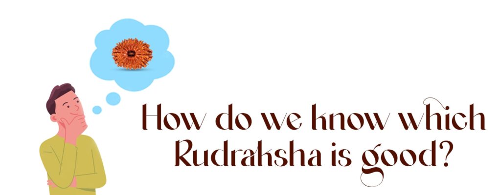 How to know which Rudraksha is good to wear?