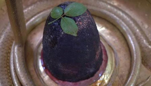 Bilwa (Bel): Significance of Offering Bel Patra to Lord Shiva