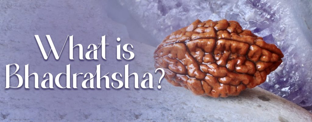 What is Bhadraksha? Different Between Rudraksha and Bhadraksha