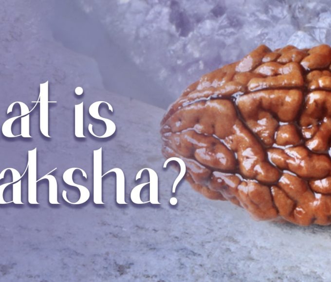 Makar Sankranti 2023 : Best Rudraksha for Makar Sankranti