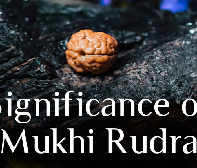 What is Bhadraksha? Different Between Rudraksha and Bhadraksha