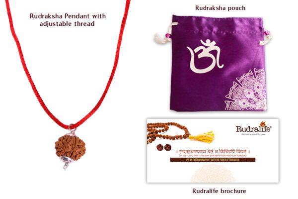 Six Mukhi Rudraksha – Everything You Need To Know!