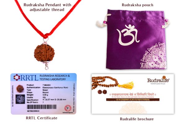 Seven Mukhi Rudraksha – Everything You Need To Know!
