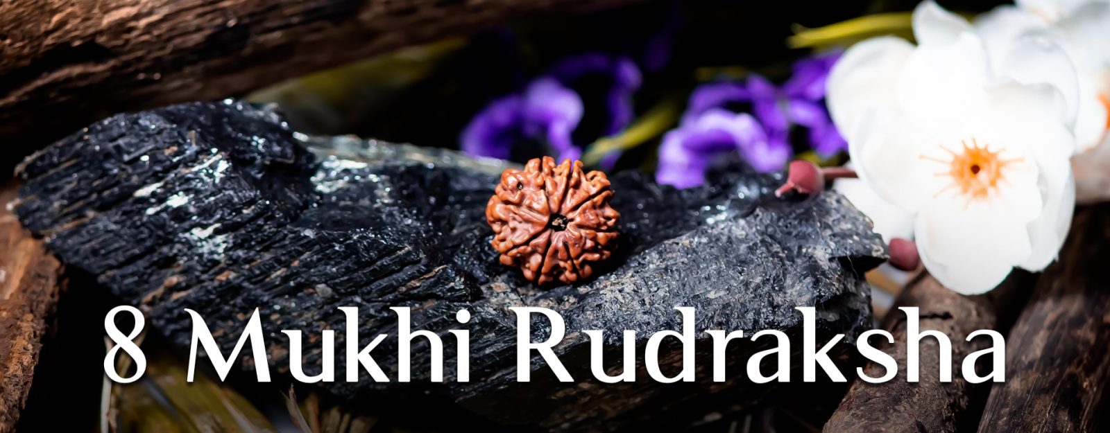 Eight Mukhi Rudraksha – Everything You Need To Know!