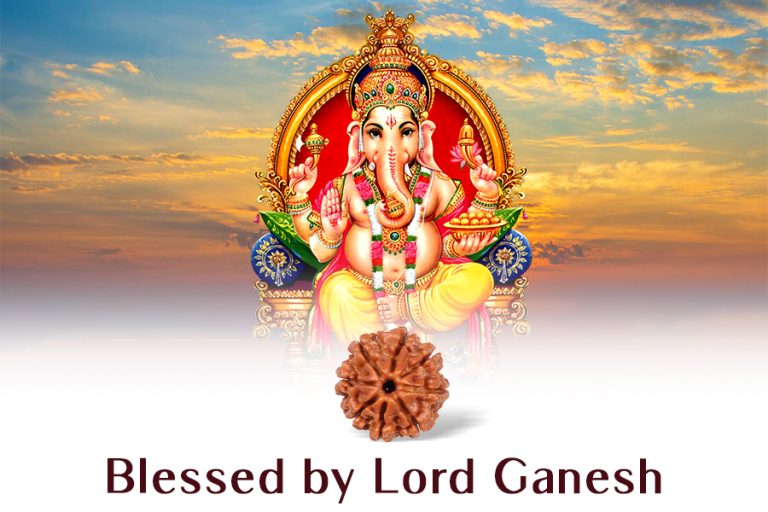 Eight Mukhi Rudraksha – Everything You Need To Know!