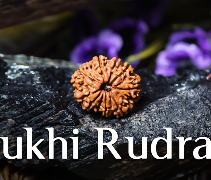 Eleven Mukhi Rudraksha – Everything You Need To Know!