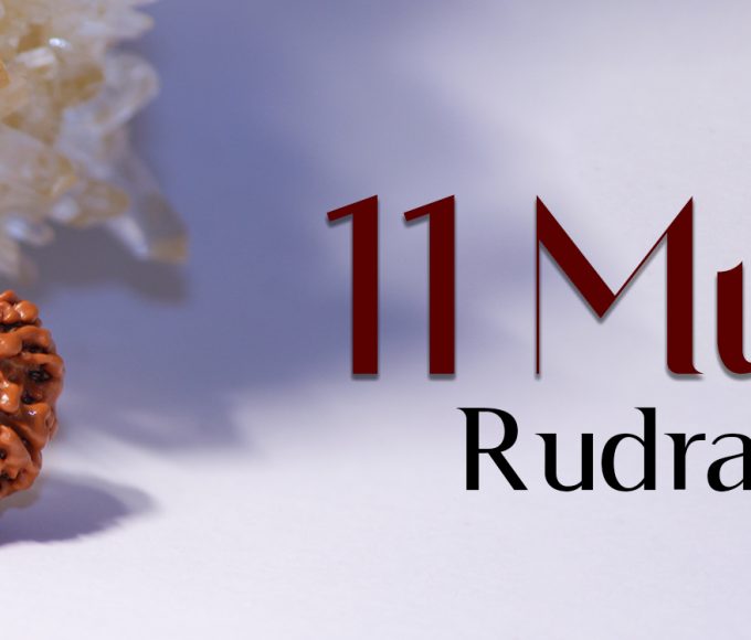 What is Bhadraksha? Different Between Rudraksha and Bhadraksha