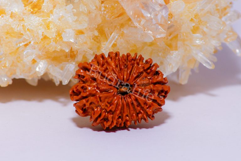 Mangal: The Fiery Planet, Its Impact and Significance