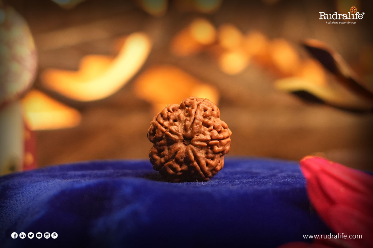 Siddha Mala: Benefits, Energizing, Genuine vs. Fake - Complete Guide