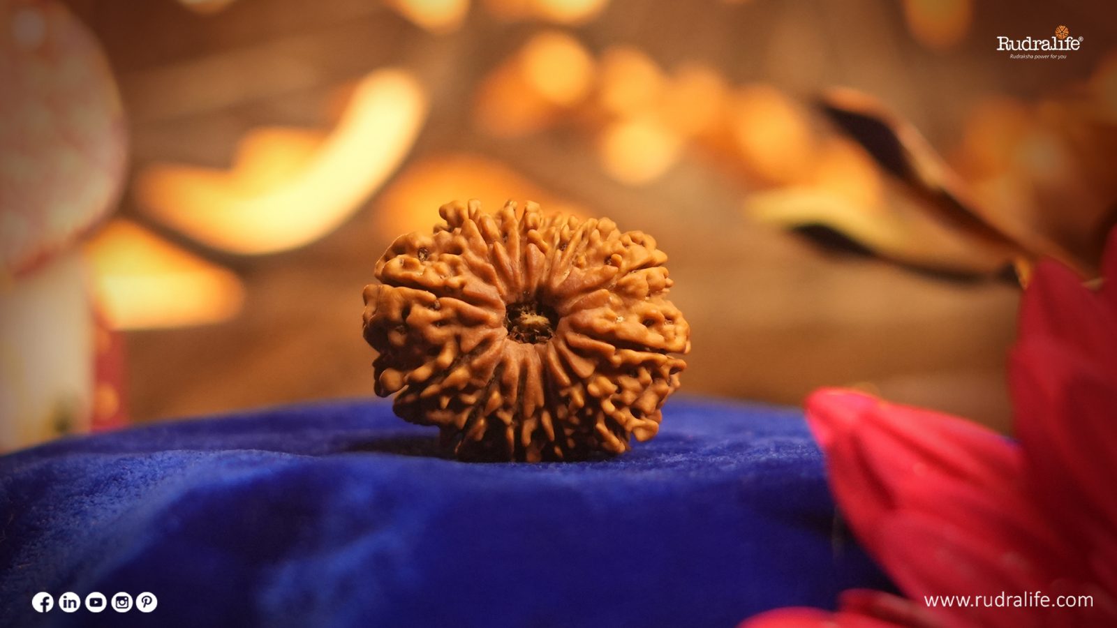 Rudralife: Premier Choice for Your First Rudraksha - Top Reasons