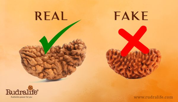 EK MUKHI RUDRAKSHA: EVERYTHING YOU NEED TO KNOW!